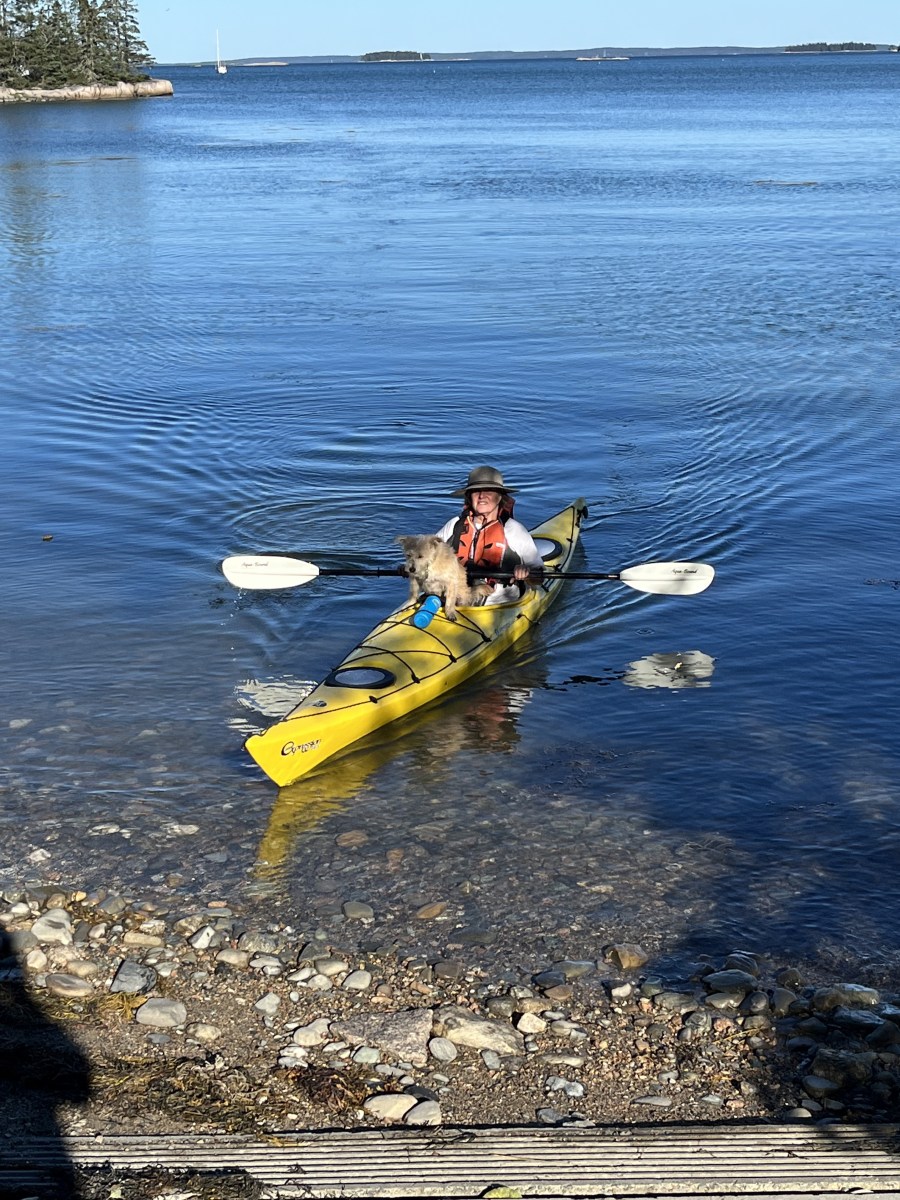 And then he started a kayaking business – mikesteinharter.com
